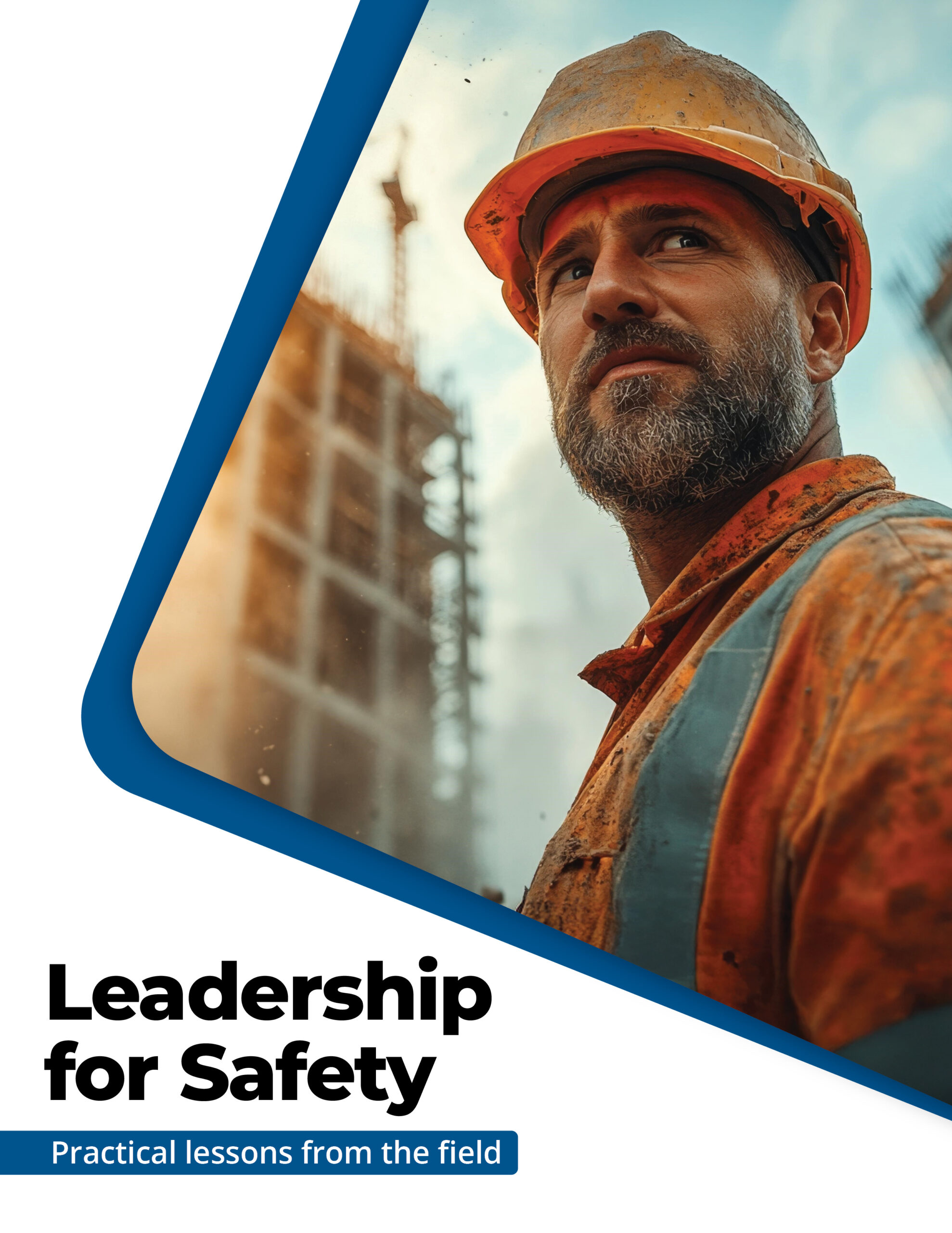 Leadership for Safety - BIS Safety Software